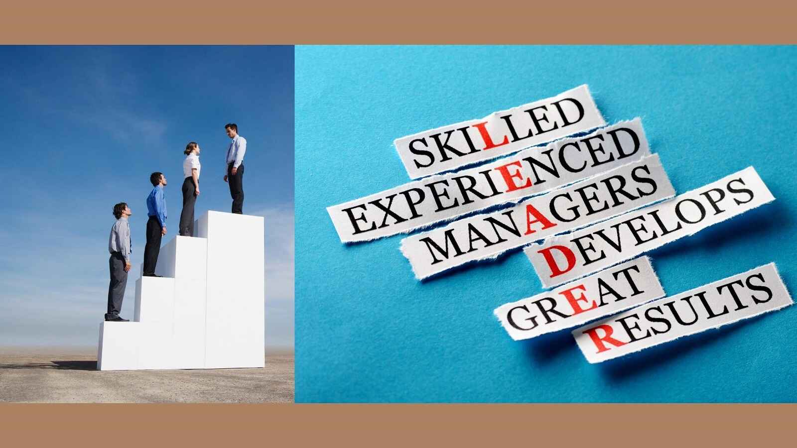 Armoured Leadership vs Daring Leadership: Which Style Is Right for You?