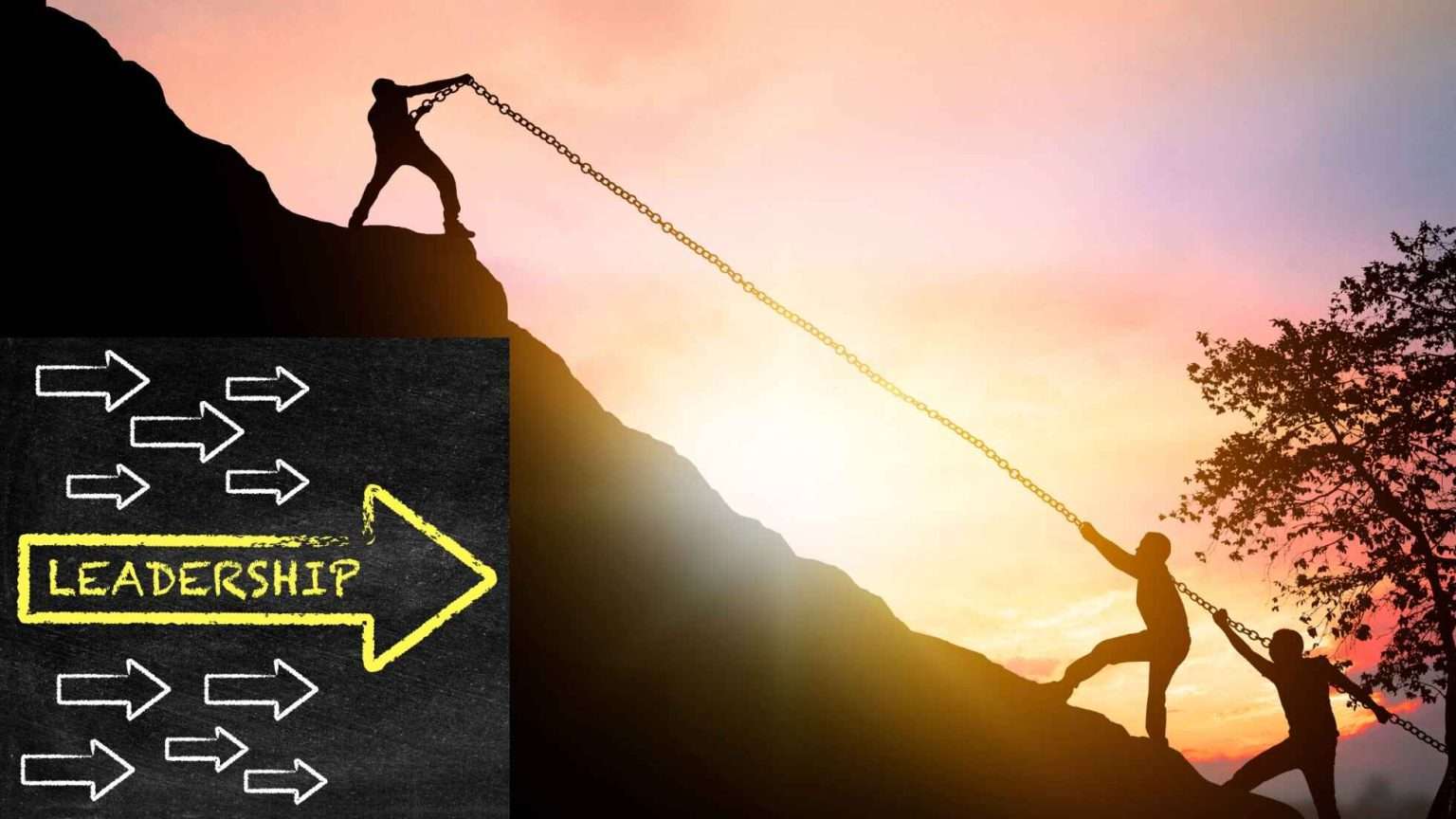 Expressive Leader vs Instrumental Leader: Exploring the Differences ...