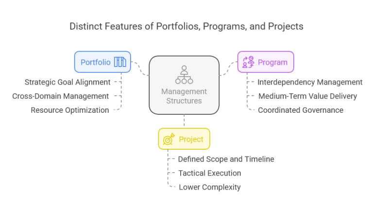 Portfolio vs Program vs Project: Features Pros and Cons - Hidayat Rizvi