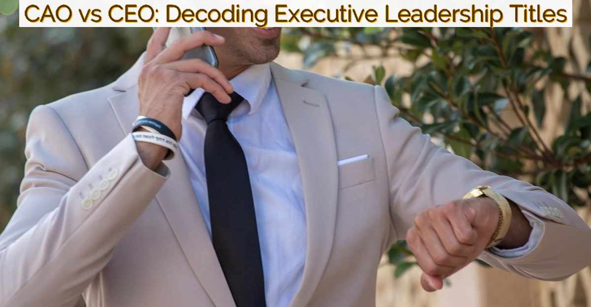CAO vs CEO: Decoding Executive Leadership Titles - Hidayat Rizvi